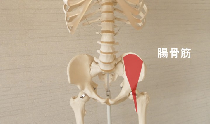 腸腰筋ストレッチ・美しい姿勢や力強い体の動きを引き出すコツ